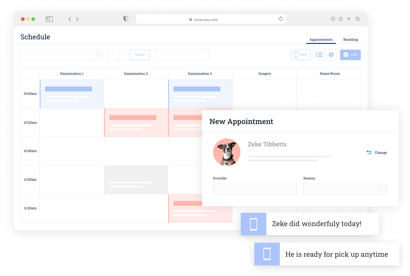 Neo Veterinary Software | Cloud-Based Software | IDEXX Veterinary Software